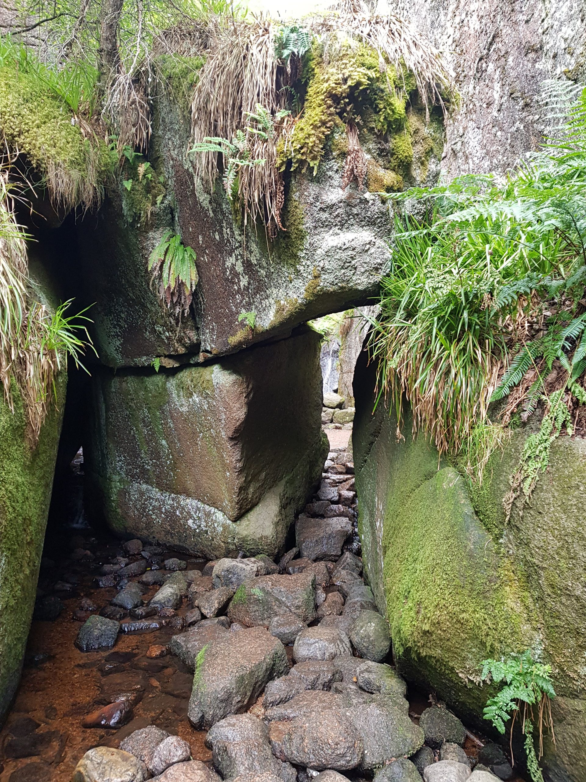 A Great Day Out - Muir of Dinnet in the Cairngorms - Cairngorm Lodges