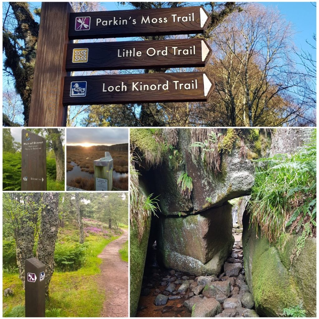 A Great Day Out - Muir of Dinnet in the Cairngorms - Cairngorm Lodges